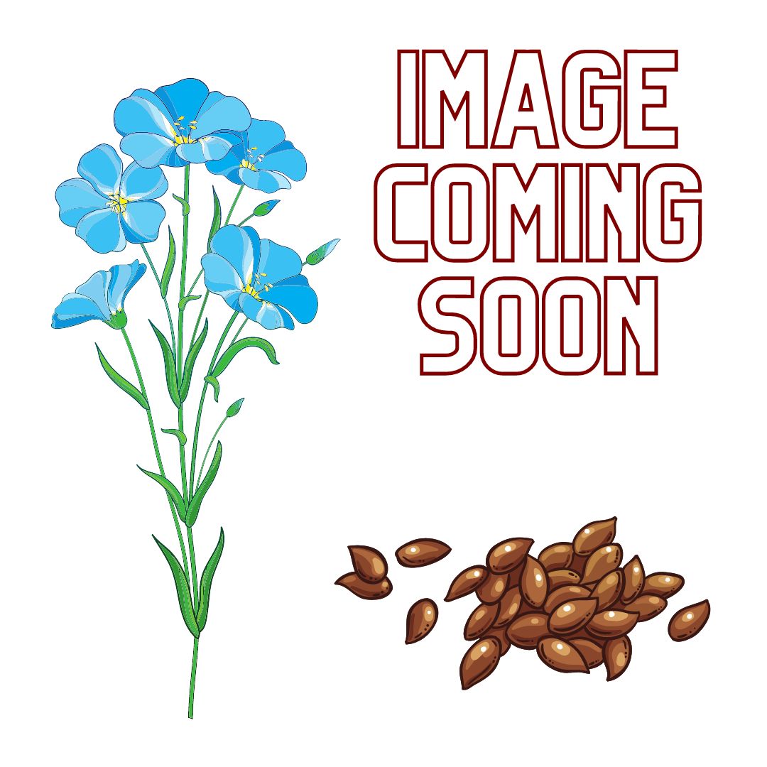 YANK SEEDS LINSEED 20KG – Ranges Country