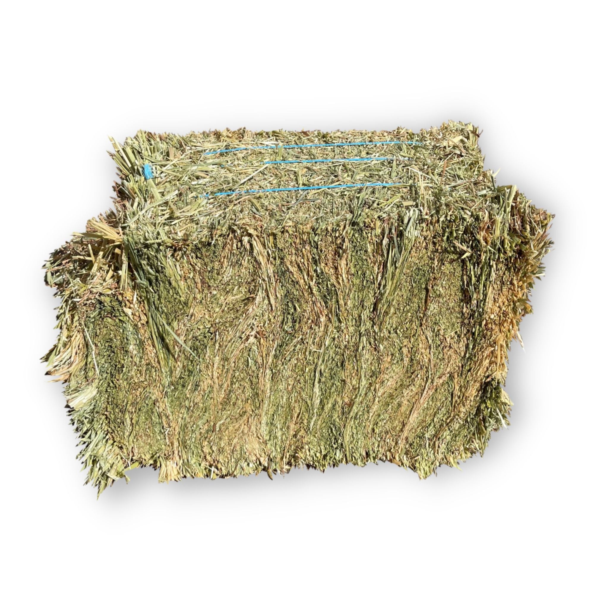 HAY BALES EZYBALE OATEN – Ranges Country