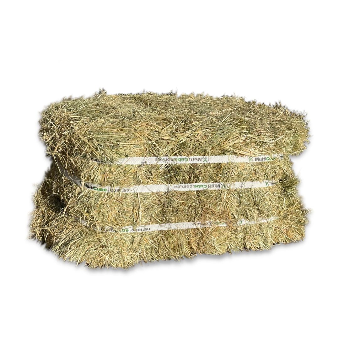 HAY BALES MULTICUBE TEFF – Ranges Country